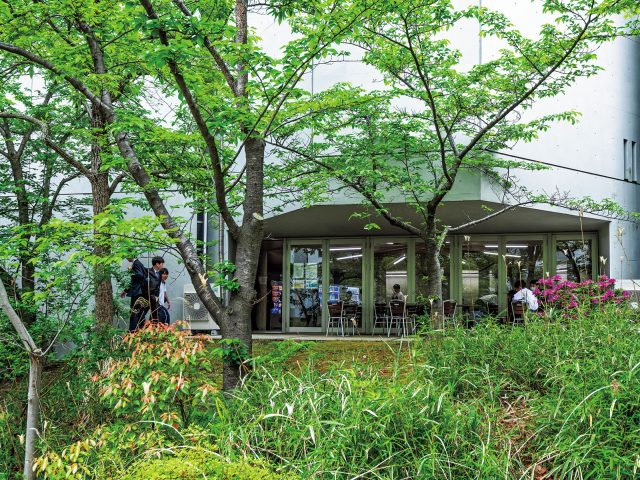 コンビニエンスストアとラーニングカフェがオープン。校内で勉強が完結する環境づくり | Netty Land（ネッティランド） – 「私立・国立中高一貫校の魅力」がわかるWebサイト